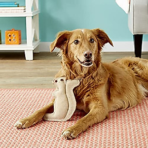 SPOT Dura-Fused Leather Squirrel - Dog Toy with Squeaker, Made With Real Leather and Jute Fabric, Interactive Toy for Aggressive Chewers, Durable Squeaky Toy for Dogs and Puppies, Small - 8in