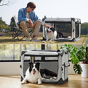 Lesure Collapsible Dog Crate - Portable Travel Kennel for Large Dog, 4-Door Pet Crate with Durable Mesh Windows, Indoor & Outdoor, Light Gray