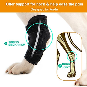 Avont Dog Leg Brace for Back Leg, Canine Rear Ankle Hock Joint Support Hind Leg Compression Wrap for Torn ACL CCL Arthritis, Dog Brace Sleeve Help Recovery from Surgery -Right(M)