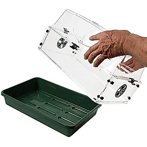 EarlyGrow Medium Seed and Herb Domed Propagator with Vented Side Height Extension and Security Clip Set,Green