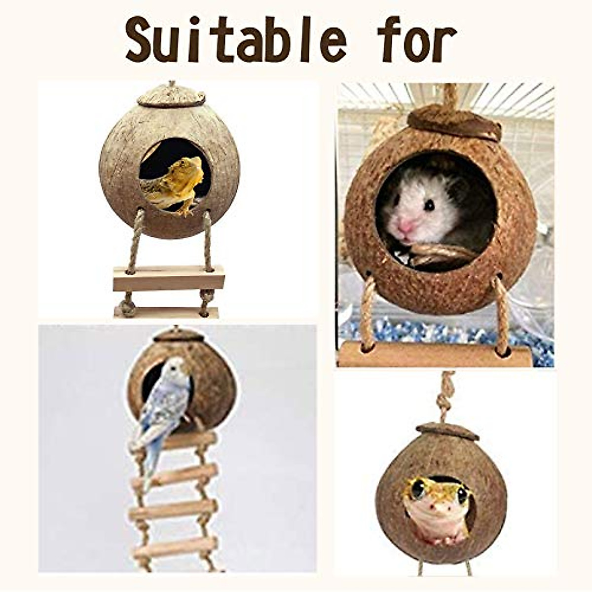 PINVNBY Crested Gecko Coco Hut with Ladder Natural Lizard Coconut Shell Hideout Home Mini Condo for Reptiles Durable Cave Habitat with Hanging Loop Coconut Texture Provide Food for Pets