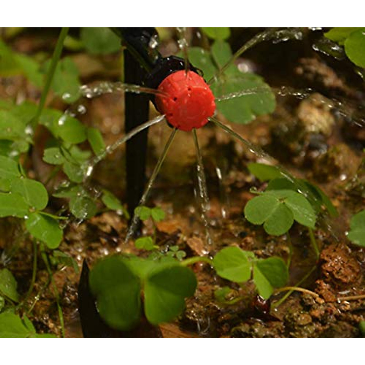 LASSUM 50PCS Adjustable Irrigation Drippers Sprinklers 1/4 Inch Emitters Drip Watering System for Vegetable Gardens, Flower beds, Lawn, Herbs Gardens