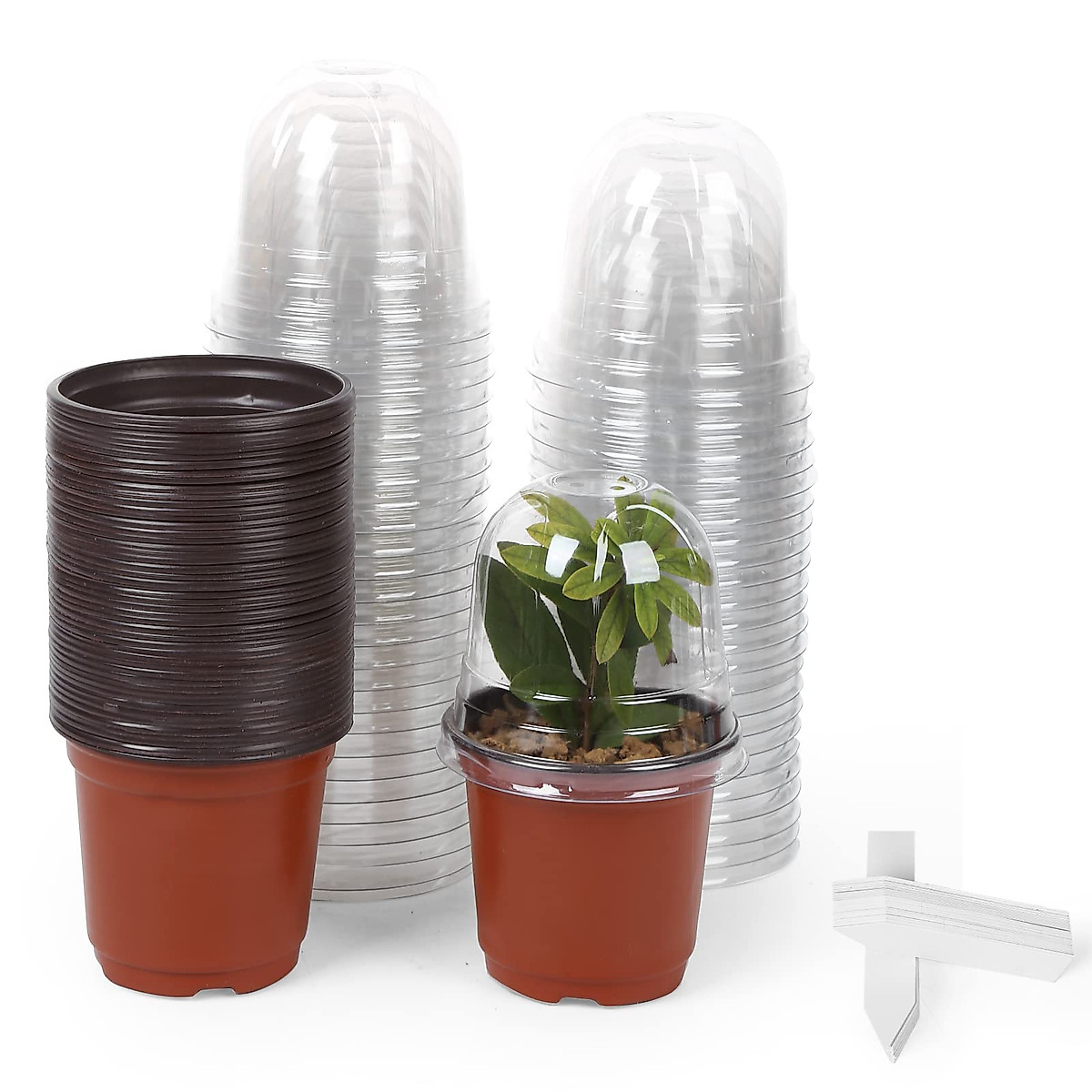 JERIA 60 Sets 4" Plastic Plant Nursery Pots with Humidity Domes,(60 Pots + 60 Clear Lids),Seedling,Flower Plant Container and Seed Starting Pots with 100pcs Plant Labels