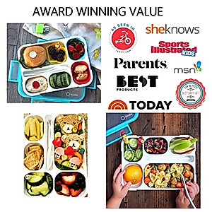 kinsho Bento Lunch Box Kids, Leakproof Lunch Containers for Boys Girls Adults with 6 Compartments - School, Daycare, Meal Planning Portion Control Container, BPA-Free Boxes, Utensils, Navy Blue