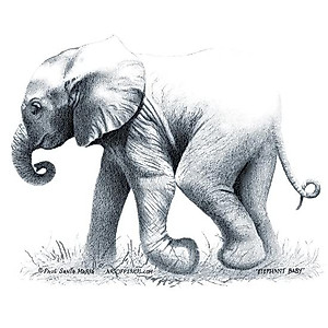 CafePress Baby Elephant Mug Ceramic Coffee Mug, Tea Cup 11 oz