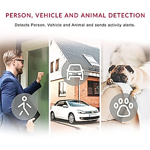 YI 2pc Security Home Camera, 1080p 2.4G WiFi Smart Indoor IP Cam with Night Vision, 2-Way Audio, AI Human Detection in Phone App, Pet Cat Dog Cam, Works with Alexa and Google