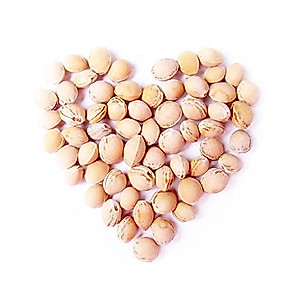 Myakishi Warmy, heatable Toy with Cherry Seeds, microwavable Soft Toy Bear