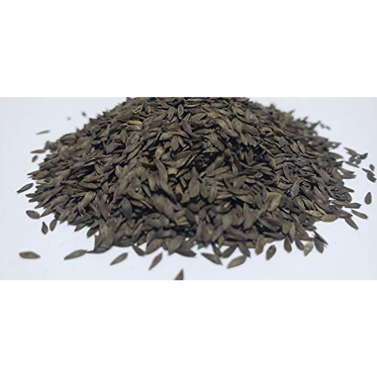 Heirloom Iceberg Lettuce Seeds “Coolguard” - Crisp, Dense, Lightly-Flavored Head Lettuce Seeds | Heirloom Seeds by Liliana's Garden |