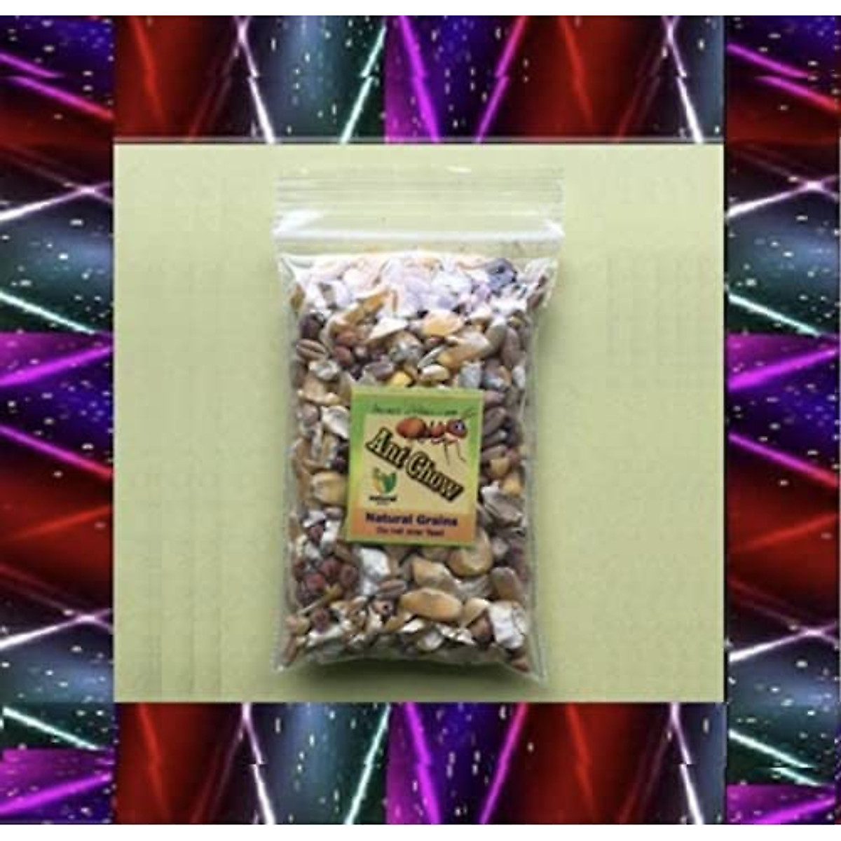 Insectsales.com Live Ants for Ant Farms with Free Ant Food (40 Healthy Western Harvester Ants) (Ants + Ant Food)