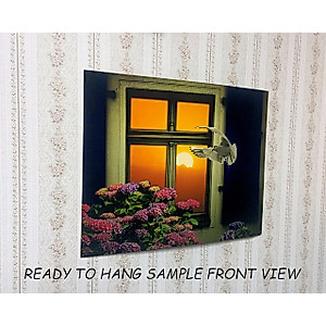 Cotton Field Blossom Ready for Harvest HD Print 11x14-8x10 Handmade in USA