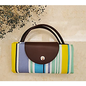 Collapsible Trolley Bags Folding Shopping Cart with Wheels - Reusable Grocery Bags (B09Y2SZ138)