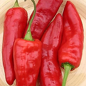 David's Garden Seeds Pepper Specialty Sweet Marconi Red FBA-8722 (Red) 25 Non-GMO, Heirloom Seeds