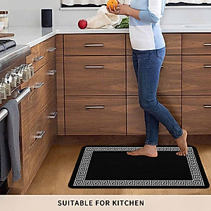 ALAGEO Doormat Geometric Greek Key Design Welcome Mat Entrance Floor Mat Black Door Mar Indoor Outdoor Entrance Floor Mat Non Slip Rubber Mat 24 x 36 inch