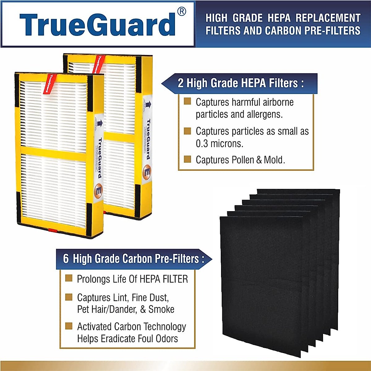 TrueGuard Air Purifier Replacement HEPA Filters FLT4100 Filter E | 2 Pack with 6 Pre-cut Activated Carbon Prefilters | Compatible with GermGuardian Models AC4100 Series, AC4150 Series & More.