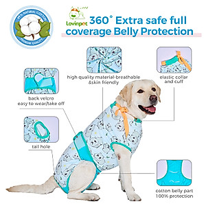 LovinPet Dog Cone Alternative After Surgery - Surgical Suit for Dogs Female Female & Male Anti-Licking Protection Full Body Coverage for Anti-Shedding
