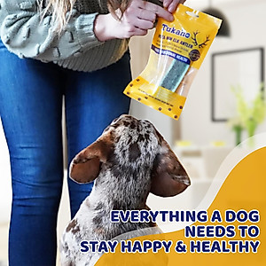 New Vita-Min Split Elk Antlers for Dogs Large with Vitamins & Minerals for Overall Health – Natural Dog Dental Treats for Oral Care (Large)