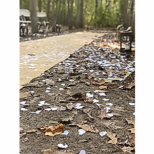 Heart Shaped Biodegradable Wedding Confetti - 10,000 pieces. Product of The USA.