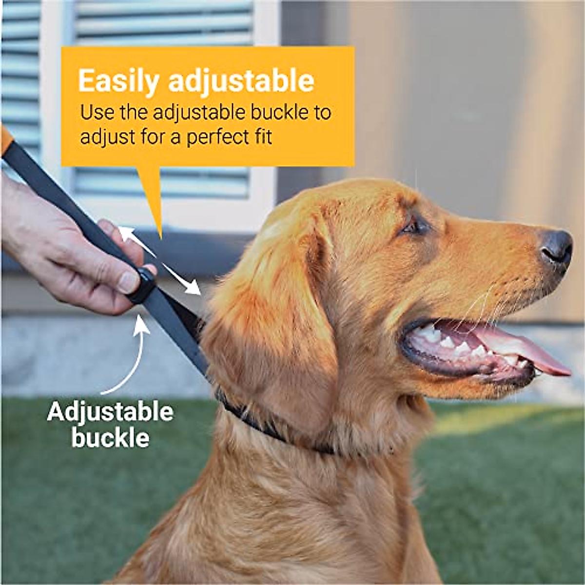 SVD.PET Dog Collar for No-Pull Training, Quick-Release Buckle Adjustable Collar for Small Medium Large Dogs (Medium Size)