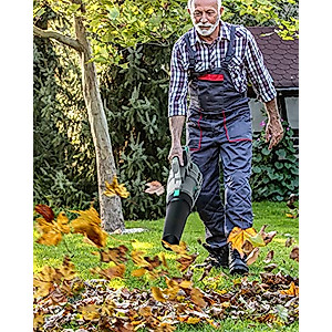 Litheli 20V Cordless Leaf Blower, 350 CFM 85 MPH Battery Leaf Blower, Variable Speeds Leaf Blower for Cleaning Leaves, Dust, Snow, Lawn, Yard, 4.0Ah Battery & Fast Charger Included