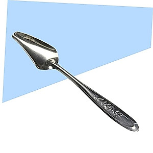 CORHAD 12 Pcs Feeding Spoon Bird Feeding Tool Hamster Spoon Pet Food Spoon Pet Milk Spoon Bird Parrot Spoon Hamster Feeding Tools Bird Feeding Scoop Bird Feeding Supplies Silver