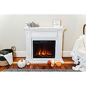 e-Flame USA Breckenridge 25"x20" LED Electric Fireplace Stove Insert with Remote - 3D Logs and Fire (Black)