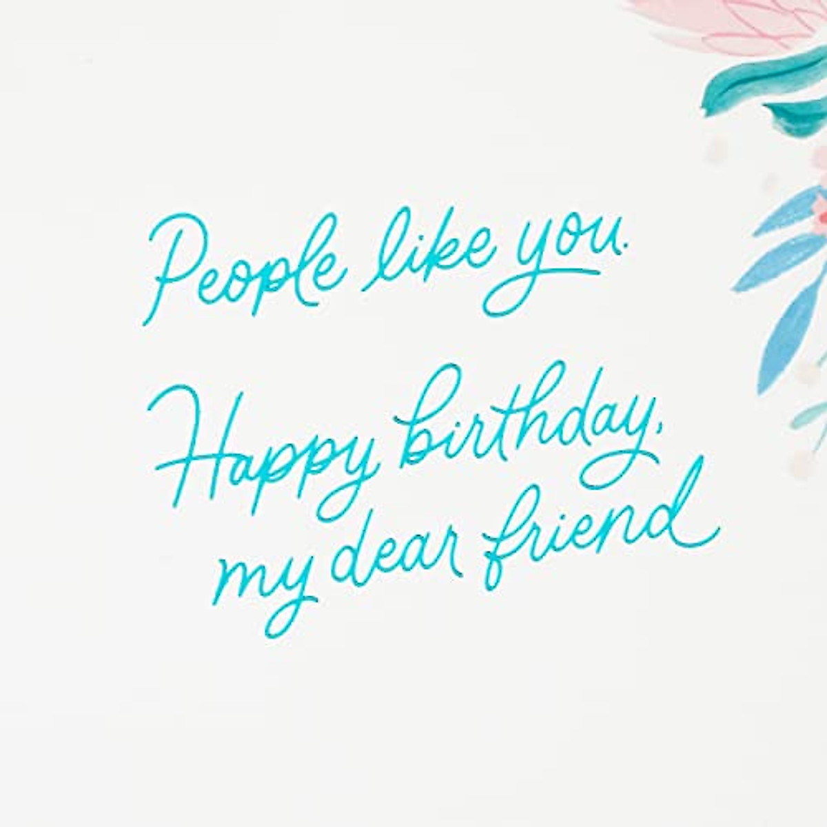 Hallmark Birthday Card for Friend (People Like You)