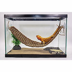 PENN-PLAX Reptology Lizard Lounger – 100% Natural Seagrass Fiber – Great for Bearded Dragons, Anoles, Geckos, and Other Reptiles – Extra Large