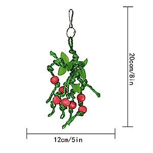 通用 3 Pieces Bird Parrot Toys, Bird Toys Parrot chew Toys, Climbing Toys, Bird Toys for Small Parrots, Cockatoos, Finches, Budgies, Lovebirds.