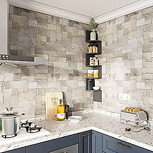 GREENDEW 5-Tier Wall Mount Radial Floating Corner Shelf, Wood Display Storage Shelves for Home Office Decor (Black)