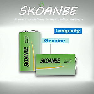 SKOANBE 6F22 Carbon zinc 9V Batteries 10 Count (Pack of 1)