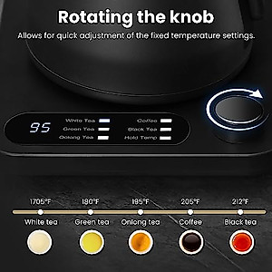 Tisanio Electric Gooseneck Kettle with LCD Display Temperature Control, Pour Over Coffee Kettle & Tea Kettle, Auto Shut-off, 100% Stainlee Steel, 1200 Watt Quick Heating, 0.8L, Black