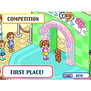 Dogz - Nintendo DS (Renewed)