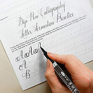 Rilanmit Calligraphy Pens Set for Beginners, Hand Lettering Pens Brush Drawing Markers Kits Chinese Japenese Pens Black Ink for Journaling, Writing, Art Drawing, 3 Size(Pack of 6)