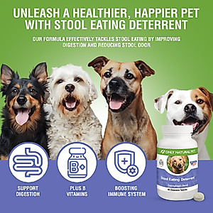 ONLY NATURAL PET Stool Eating Deterrent - Stop Stool Eating Coprophagia - Prevent Poop Eating in Dogs & Puppies | w/Digestive Enzymes | 90 Chewable Tablets for Gut Health - Natural Turkey Flavor