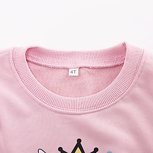 Baby Girl Sweatshirt Unicorn Dresses Long Sleeve Toddler Clothes Set Ruffle Sleeve Tops Tutu Tulle Skirt Kids 2 Piece Birthday Outfit 3t