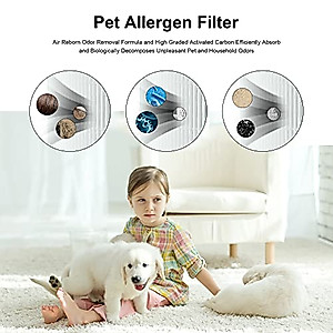 XBWW 2 Packs True HEPA Replacement Filter Compatible with AMEIFU GDAP1W / GDAP1USW / Vi-GDAP1USW, VEWIOR A2 (ClearAir-A2) and Tailulu HQZZ-160 Air Cleaner Purifiers