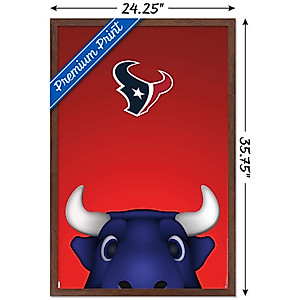 Trends International NFL Houston Texans - S. Preston Mascot Toro 20 Wall Poster, 22.375" x 34", Mahogany Framed Version