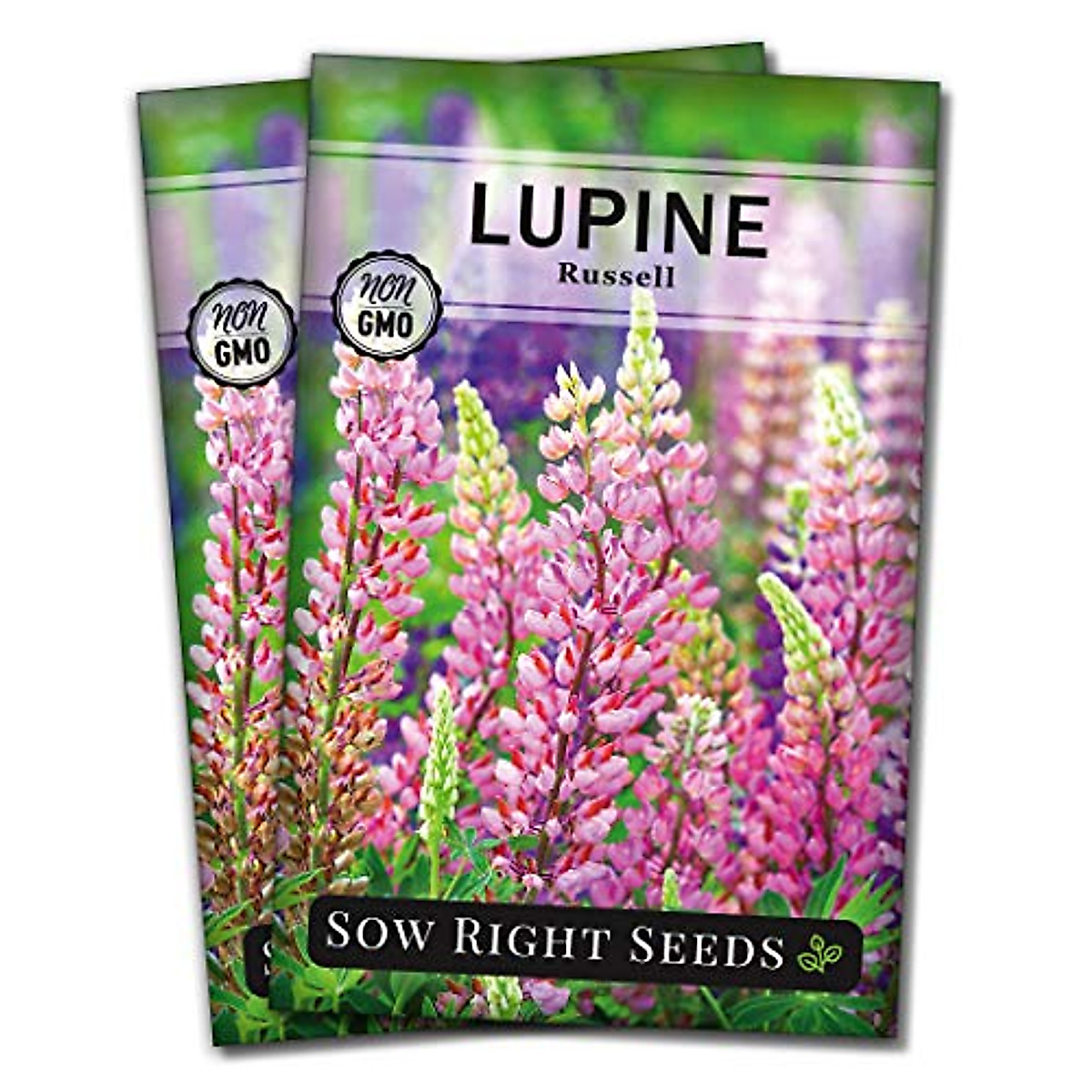 Sow Right Seeds - Russell Lupine Seeds to Plant - Full Instructions for Planting and Growing a Perennial Flower Garden; Non-GMO Heirloom Seeds; Wonderful Gardening Gift (2)
