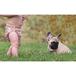 GroVia Buttah O.N.E. Reusable Baby Cloth Diaper (Glacier)