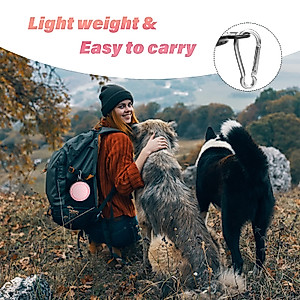 Dog Bowl Pet Collapsible Bowls, 2 Pack Collapsible Dog Water Bowls for Cats Dogs, Portable Pet Feeding Watering Dish for Walking Parking Traveling with 2 Carabiners (Small, Fairy Pink+Sprout Green)