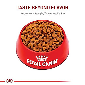 Royal Canin French Bulldog Puppy Dry Dog Food, 10.5 lb Bag