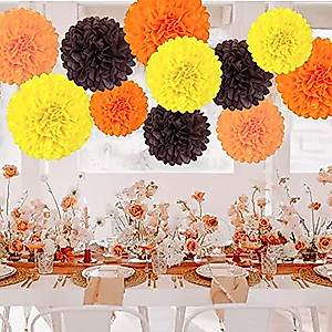20pcs Decorative Tissue Paper Pom Poms of 14in, 12in, 10in, 8in, 6in for Autumn Party Halloween Birthday Wedding Fiesta Birthday Indoor and Outdoor Decoration (Oranges, Yellow, Brown)