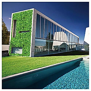 ECOOPTS 20" x 20" Artificial Grass Wall Faux Boxwood Panel Privacy Ivy Fence Screen Decoration for Backyard Garden Home Outdoor Indoor, Ivy, 6 Packs