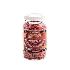 Fluker Labs SFK76021 Adult Bearded Dragon Diet Food, 3.4-Ounce