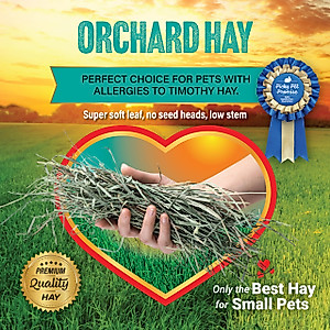 Small Pet Select Orchard Grass Hay Pet Food for Rabbits, Guinea Pigs, Chinchillas and Other Small Animals, Premium Natural Hay Grown in The US, 5 LB