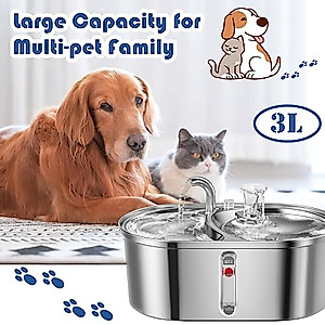 MewDgland Cat Water Fountain 3L/101oz Stainless Steel, 2 in 1 Cat Food Bowl and Pet Water Fountain for Cats Inside, Quiet Automatic Water Dispenser for Dogs and Cats