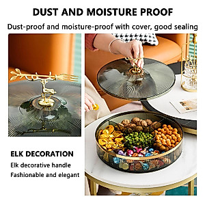 Snack Serving Tray, 5 Compartments Fruit Serving Container, Dry Fruit Snack Relish Tray with Lid, Nut and Candy Serving Tray, for Dried Fruits, Nuts, Candies, Cookies and Fruits