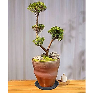 SAUCERHOME Plant Saucer 16 inch, 4 Pack 17 inch (16.8") Plastic Large Flower Planter Plant Pot Saucers and Drip Tray for Indoors Outdoors, Thick Heavy Sturdy Durable Plant Plate Water Catcher (Black)