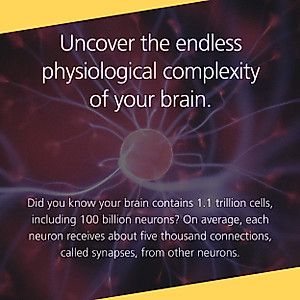 Buddha's Brain: The Practical Neuroscience of Happiness, Love, and Wisdom