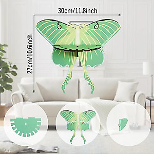 JruiZhp Butterfly Shelf， 1Pcs Green Butterfly Wooden Whimsigoth Decor Shelf Hanging Wall Shelf Floating Holder Shelves Storage Rack for Home Decoration